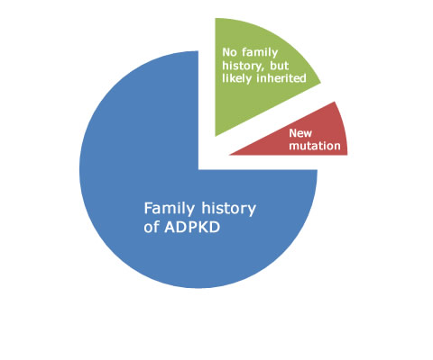 Negative Family History